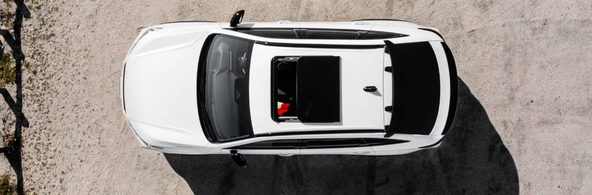 New Performance H6 GT - Mercurius Motors